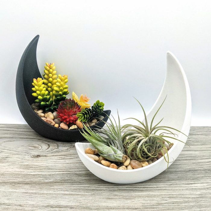 11 Adorable Mini Planters to Elevate Any Space – How to Care Of Your ...