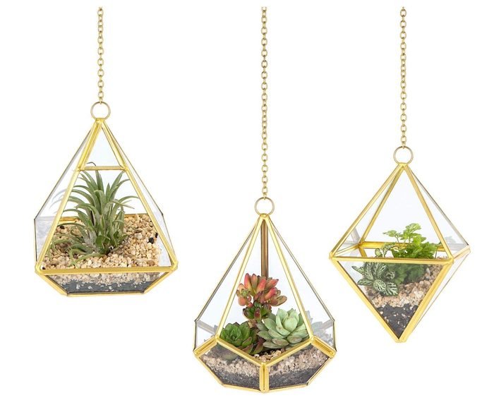 11 Adorable Mini Planters to Elevate Any Space – How to Care Of Your ...