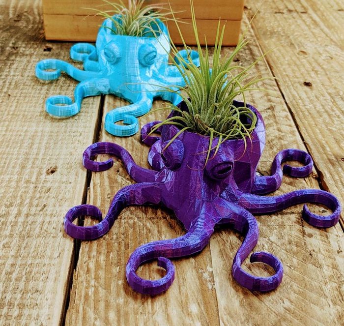 11 Adorable Mini Planters to Elevate Any Space – How to Care Of Your ...