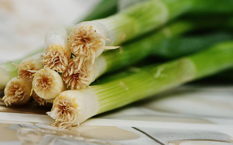 10 Vegetables that You Can Plant in Summer – How to Care Of Your Plants ...