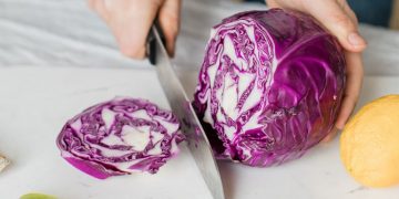 Do Plants Feel Pain? – How to Care Of Your Plants – Garden/Gardening ...