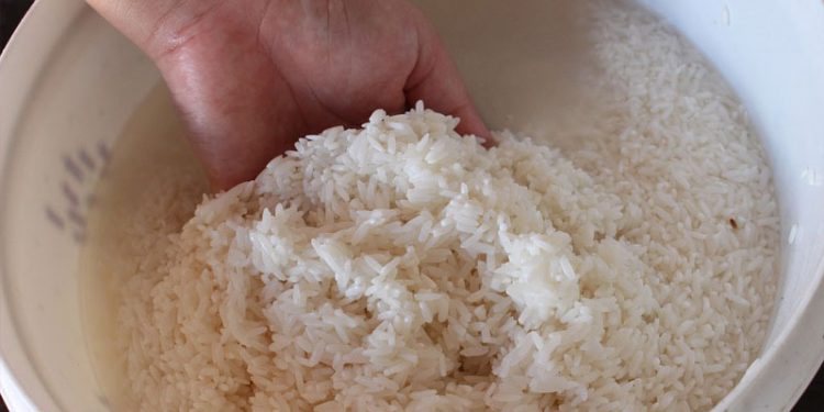 Here’s Why You Should Use Rice Water for Your Plants – How to Care Of ...