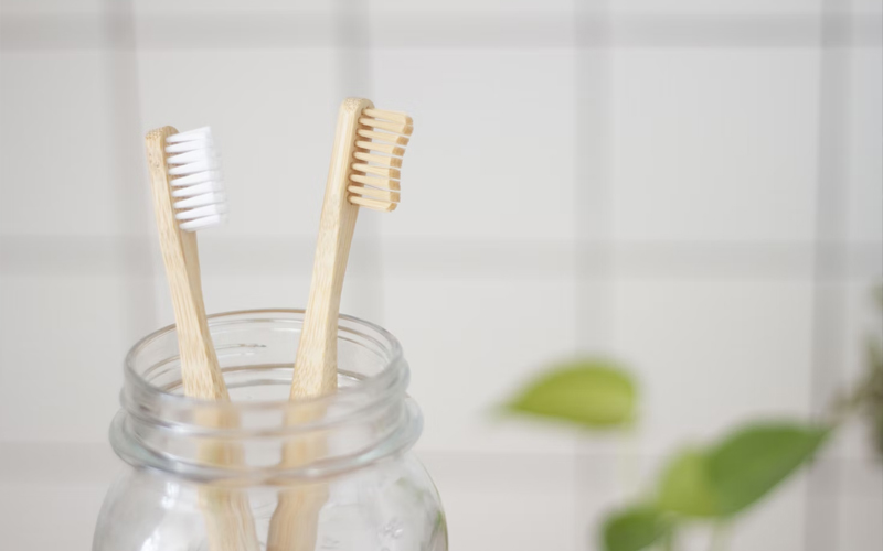 10 Amazing Toothbrush Uses in the Garden – How to Care Of Your Plants ...