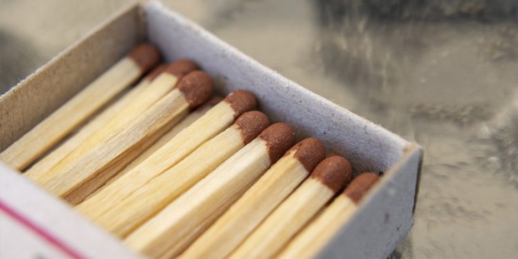 3 Reasons to Insert Match Stick in Your Plants – How to Care Of Your ...