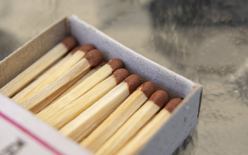 3 Reasons to Insert Match Stick in Your Plants – How to Care Of Your ...