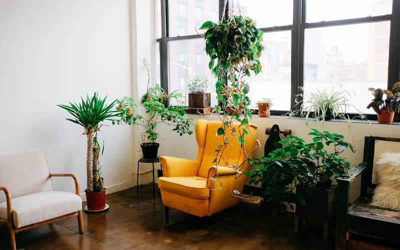 9 Gardening Tips for Keeping Your Indoor Plants Alive – How to Care Of ...