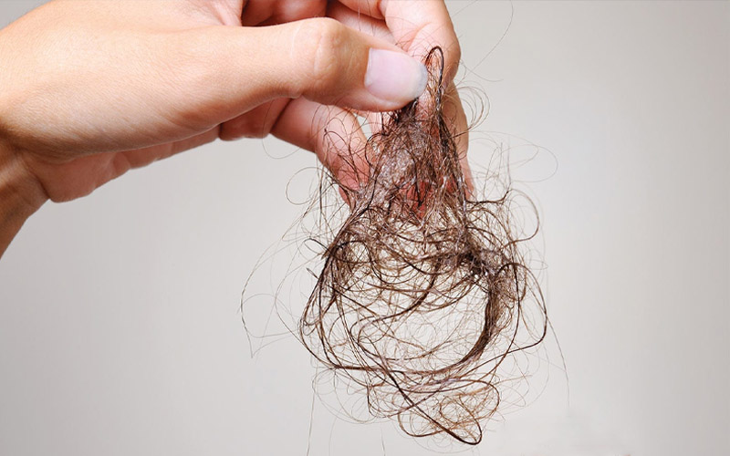Here’s Why You Should Use Human Hair in Your Garden – How to Care Of ...