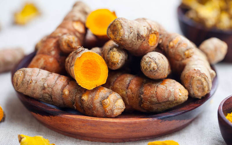 6 of Nature’s Most Potent Medicinal Plants, According to Science – How ...