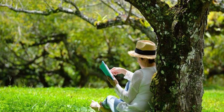 The Most Visible Indicator That a Tree Is About to Fall – How to Care ...