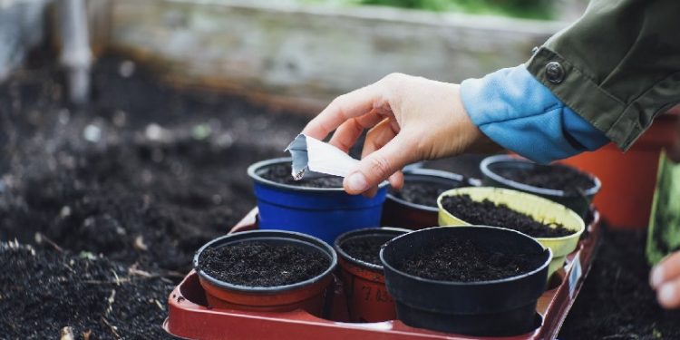 Why You Should Fill Your Plant Pots with Dishwashing Sponges – How to ...