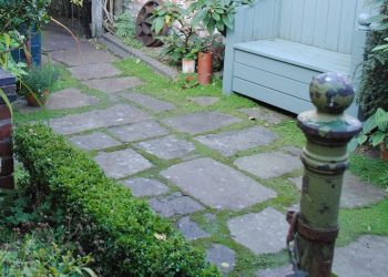 How to – How to Care Of Your Plants – Garden/Gardening Tips | Mary's Plants