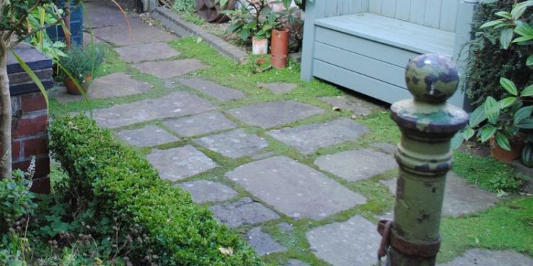 How to Get Rid of Lichen from Patio Paving Slabs with One Product – How ...