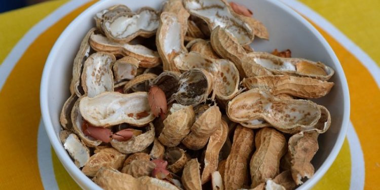 Enjoy a Breathtaking Home Garden with Peanut Shells Only – How to Care ...