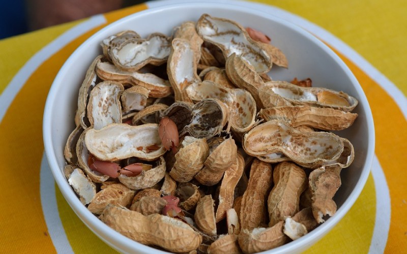 Enjoy a Breathtaking Home Garden with Peanut Shells Only – How to Care ...